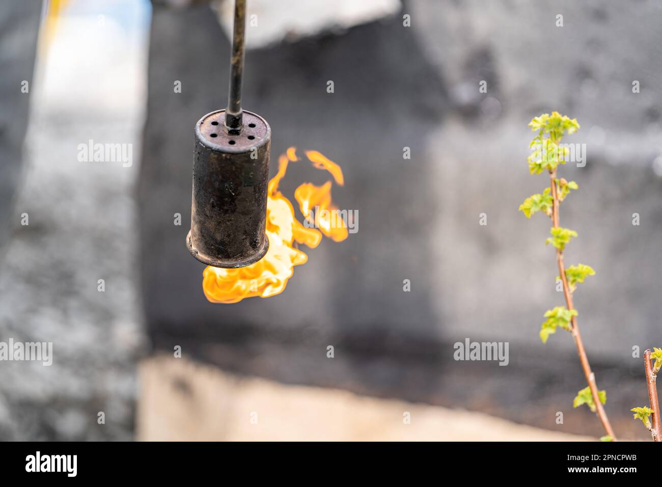 installation of protective waterproofing on the foundation and walls of ...