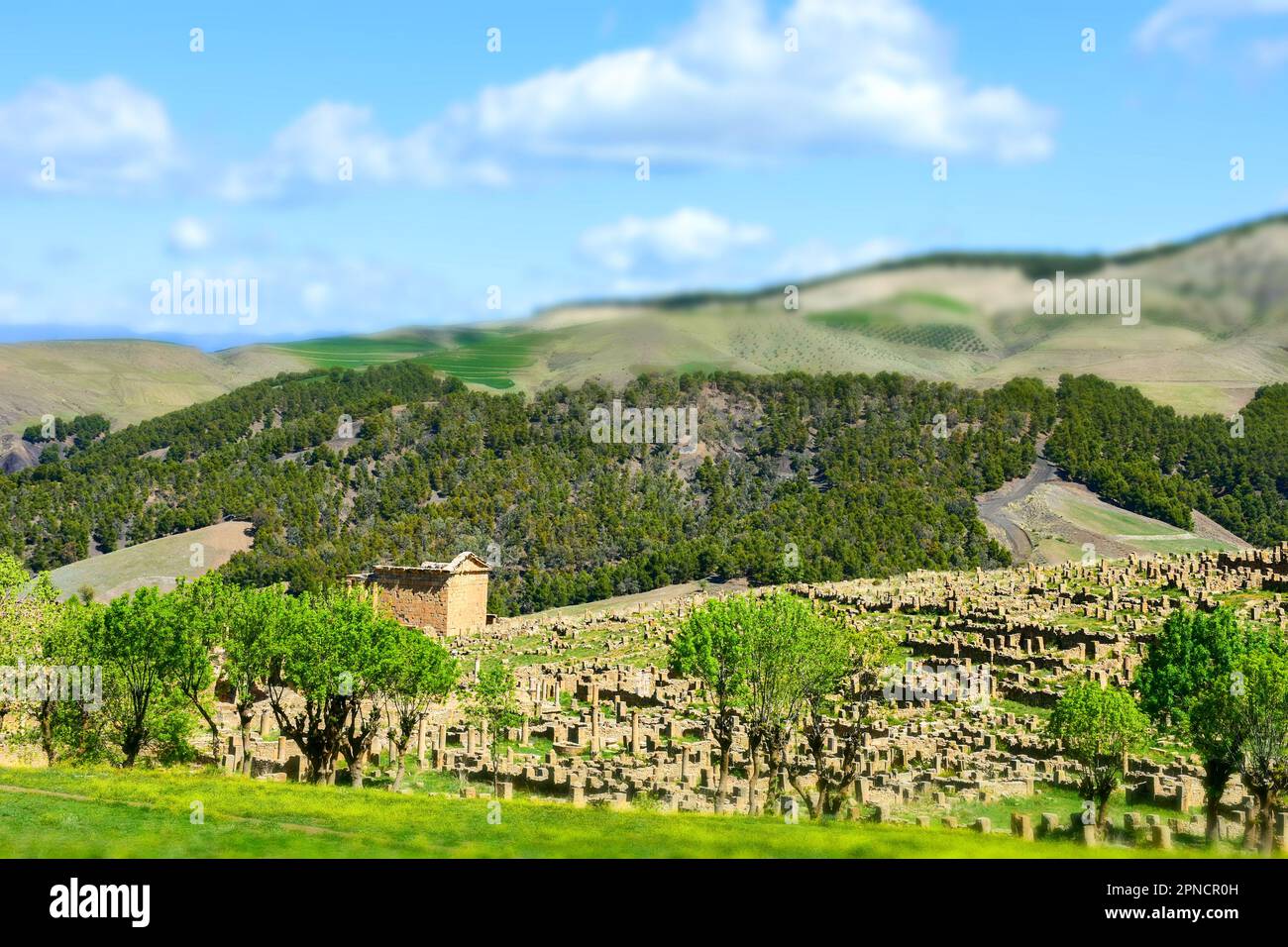 Panoramic view of the Roman ruins of the ancient city of Cuicul-Djemila ...