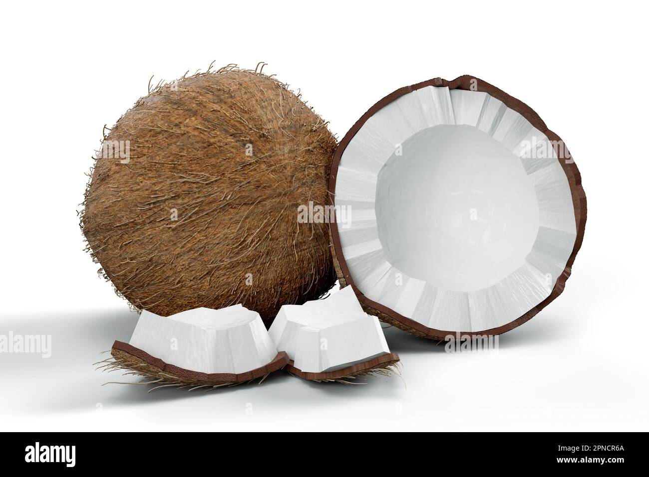3D rendering - Coconut isolated on white background, high resolution ...