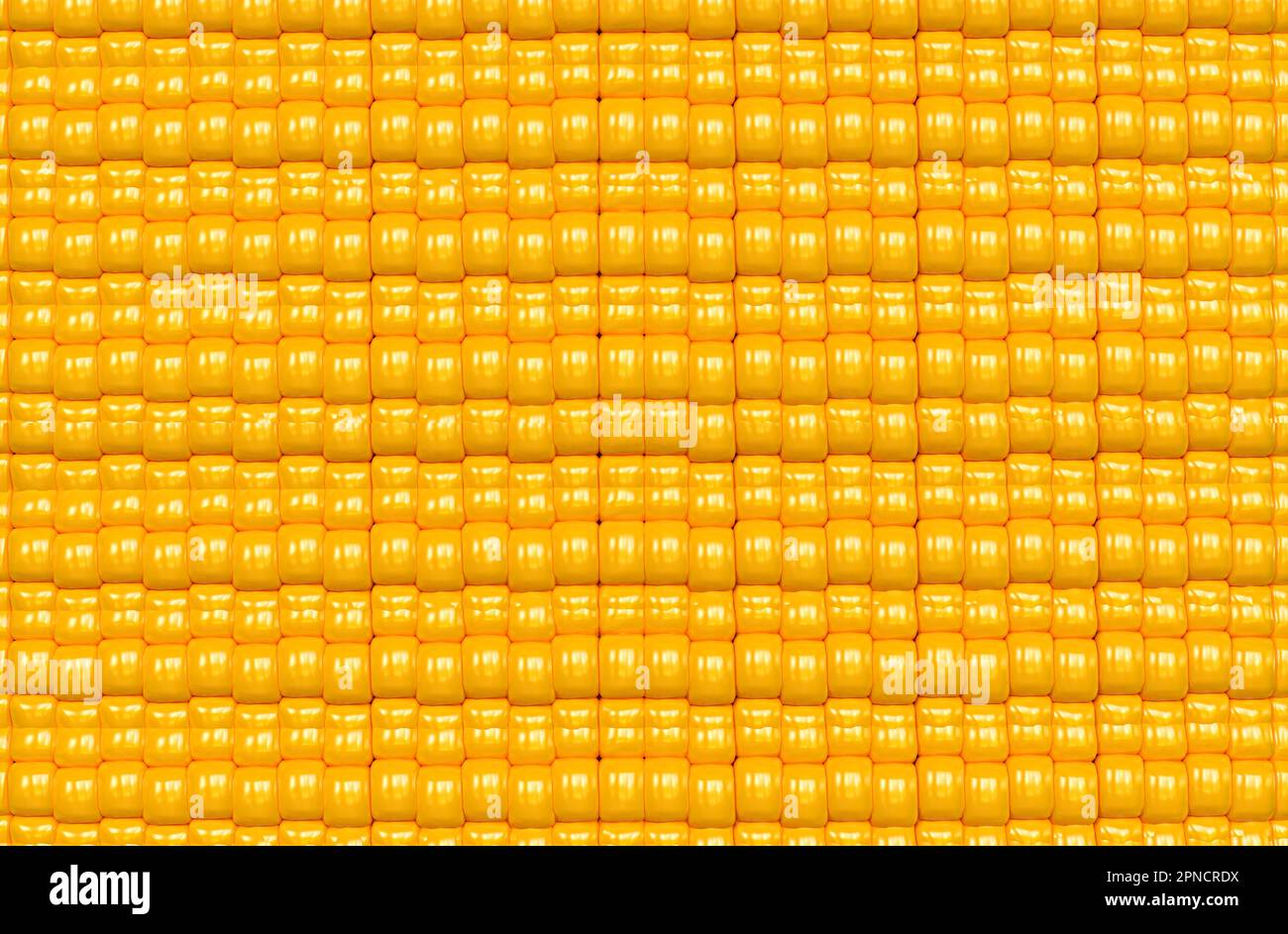 3D rendering - High resolution image Corn seeds template isolated on ...