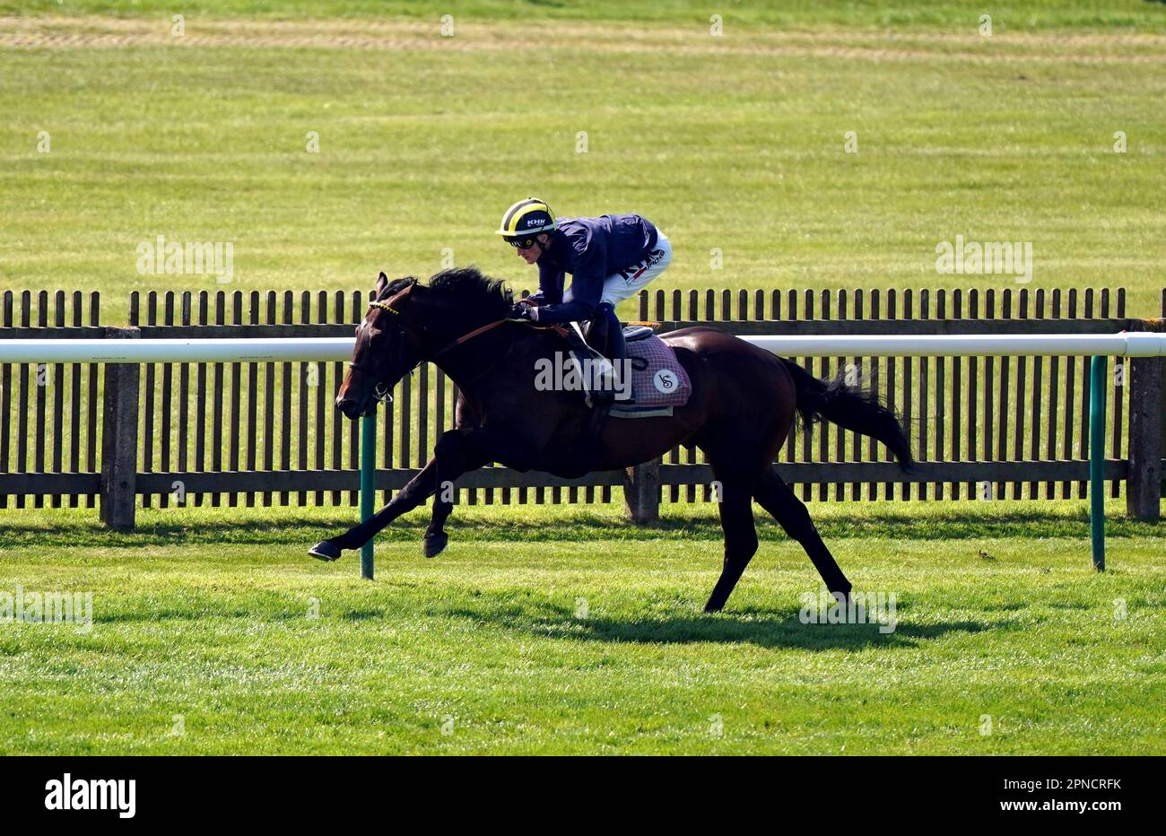 Sakheer, trained by Roger Varian (not pictured), on the gallops ahead ...