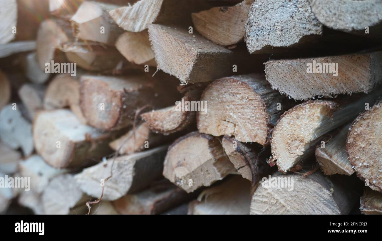 Dry firewood drying in the sun Stock Photo - Alamy