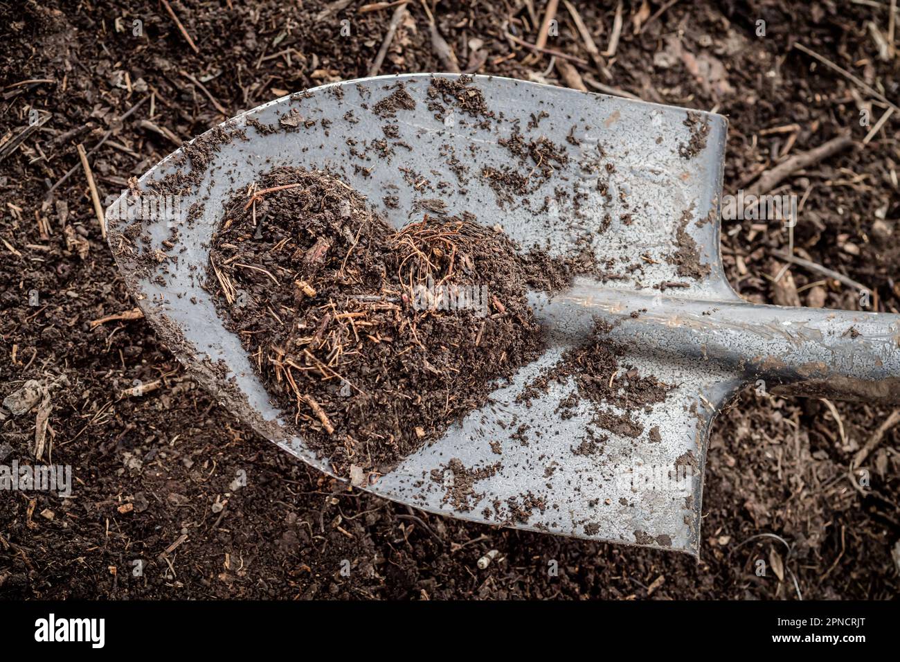 Shovel shaped hi-res stock photography and images - Alamy