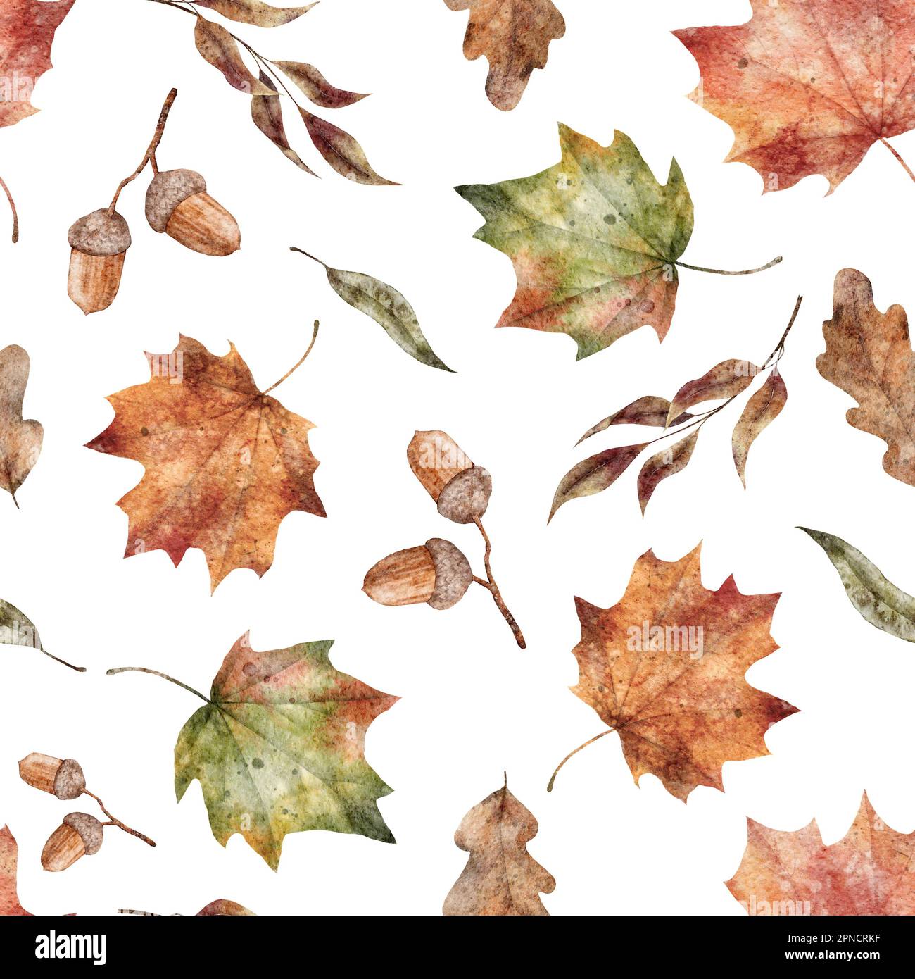 Watercolor fall leaves seamless pattern. Botanical print on white ...