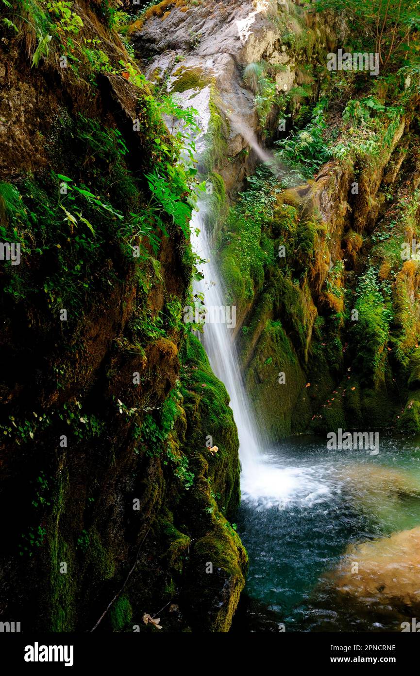 Hike to the waterfalls of Pian delle Gorre, Ligurian Alps, Chiusa di ...
