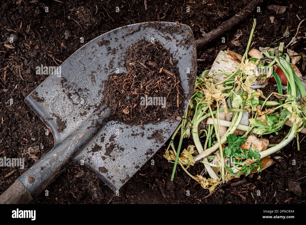 Fresh compost on a heart-shaped blade. Recycling organic waste into ...