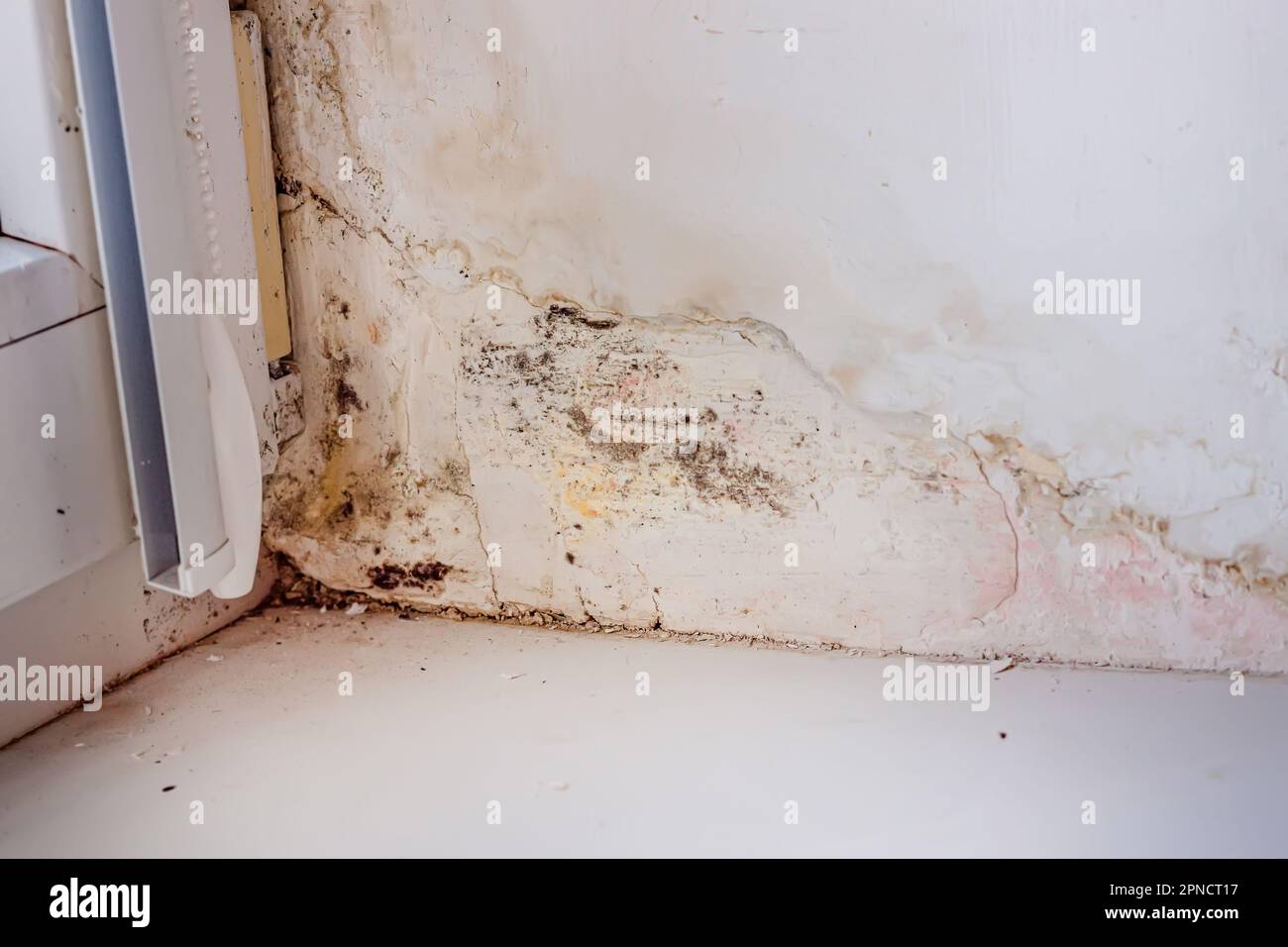 Mold on slopes near window made of metal-plastic construction. Fungus ...