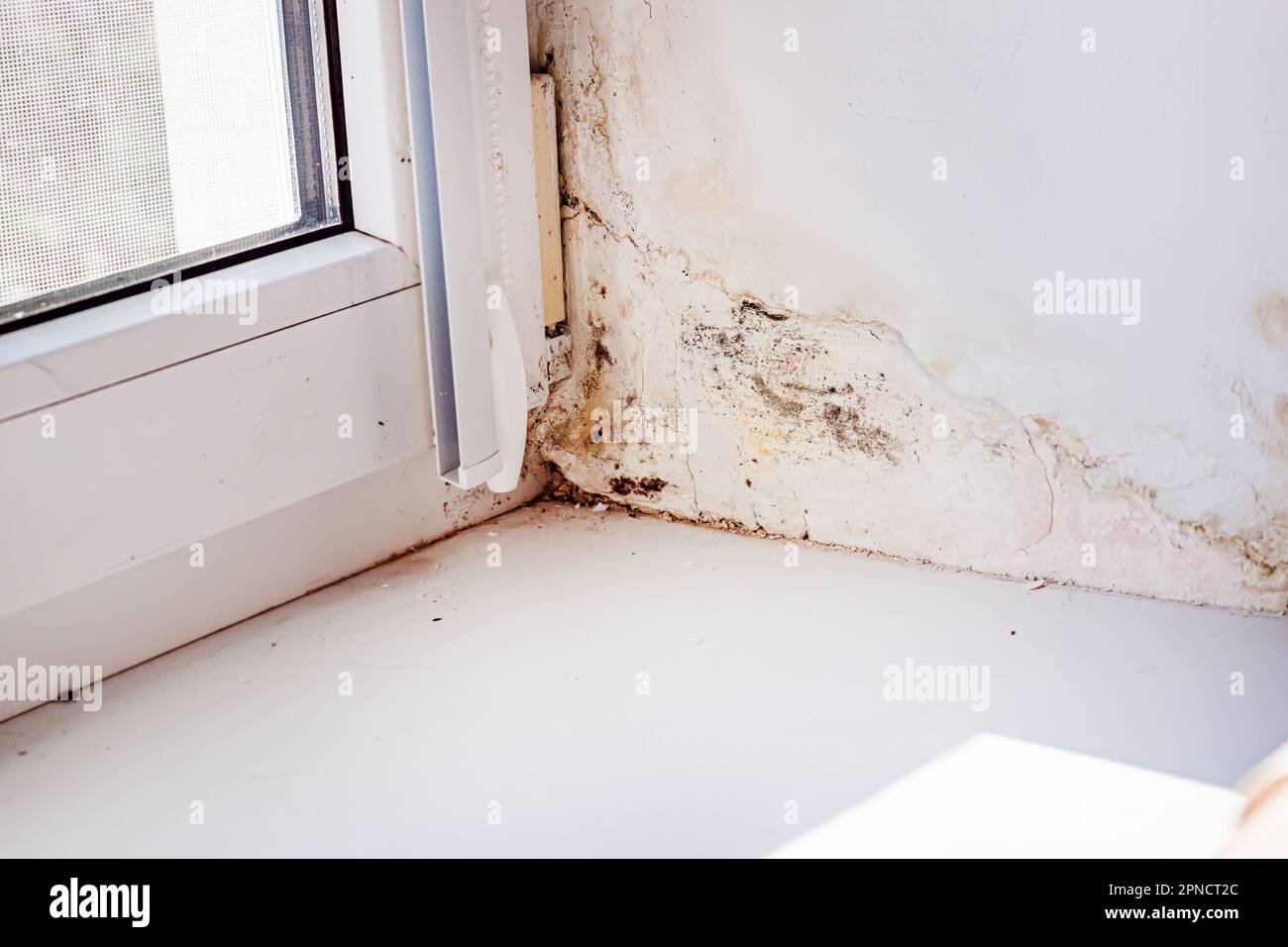 Mold on slopes near window made of metal-plastic construction. Poorly ...