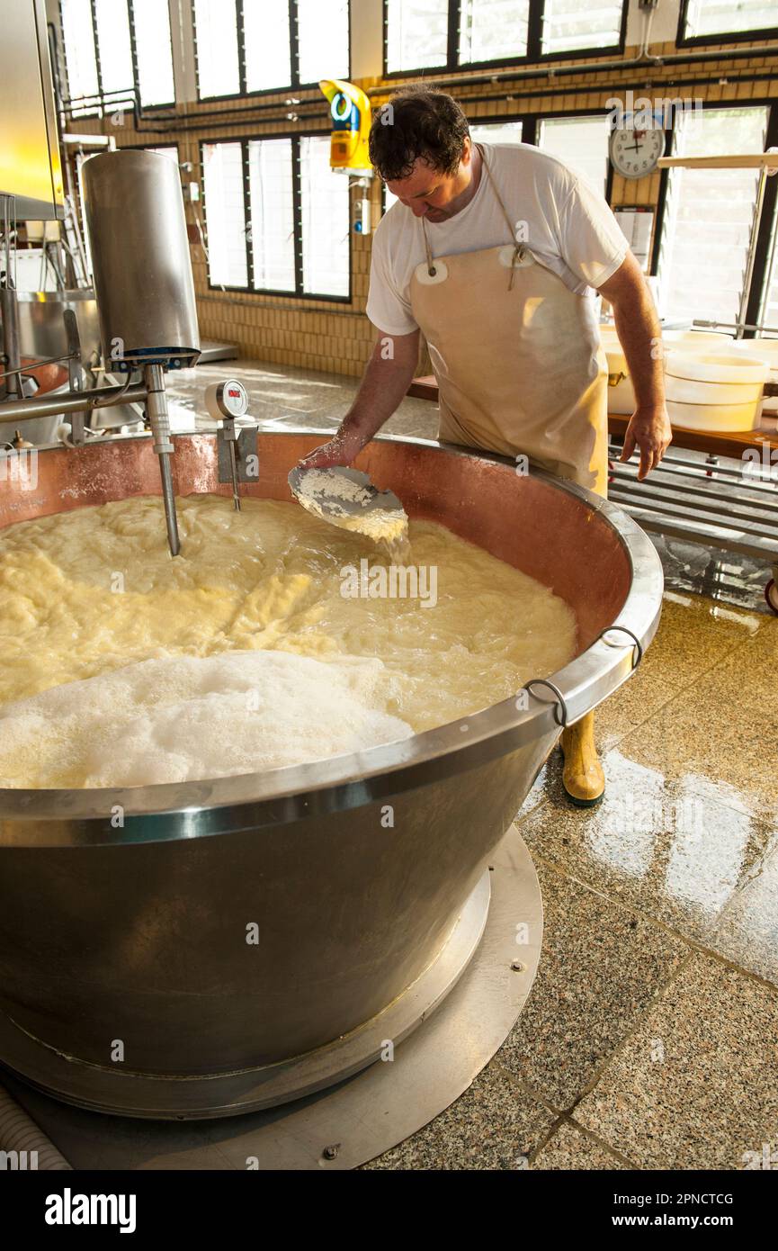 Production of Parmigiano Reggiano at the Hombre dairy, Modena, Emilia ...