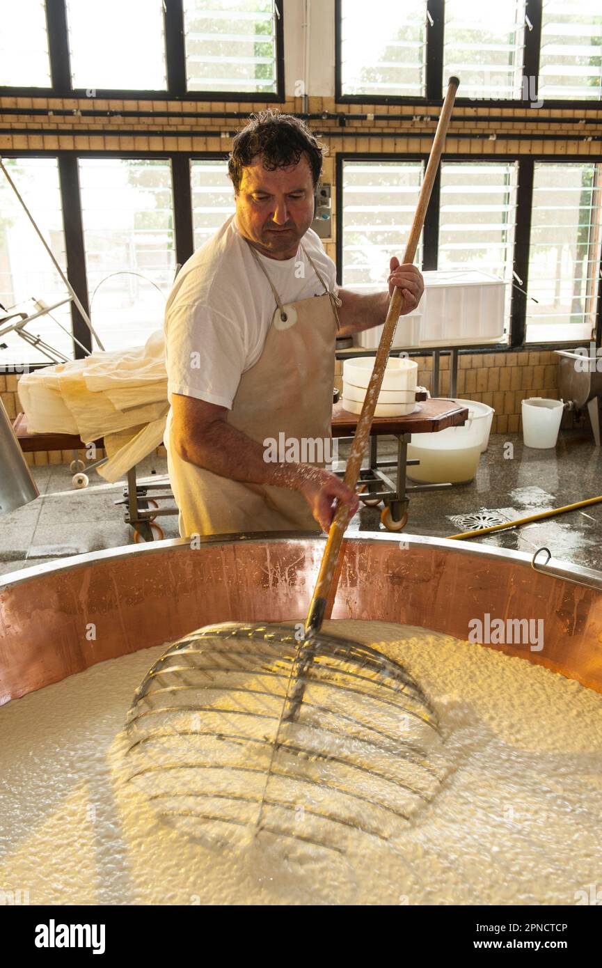 Production of Parmigiano Reggiano cheese at the Hombre dairy, Modena ...
