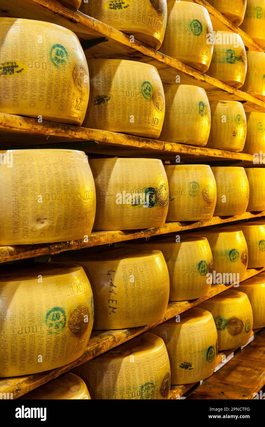 Production of Parmigiano Reggiano cheese at the Hombre dairy, Modena ...