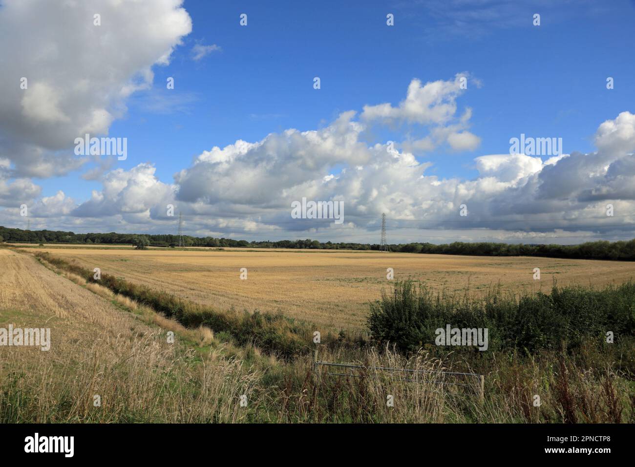 Stubble field stubble field autumn agriculture farming hi-res stock ...