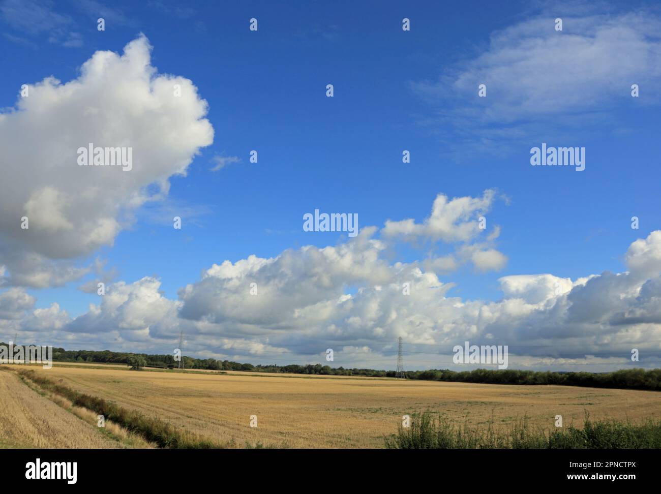 Stubble field viewed from the banks of the River Douglas at Rufford ...