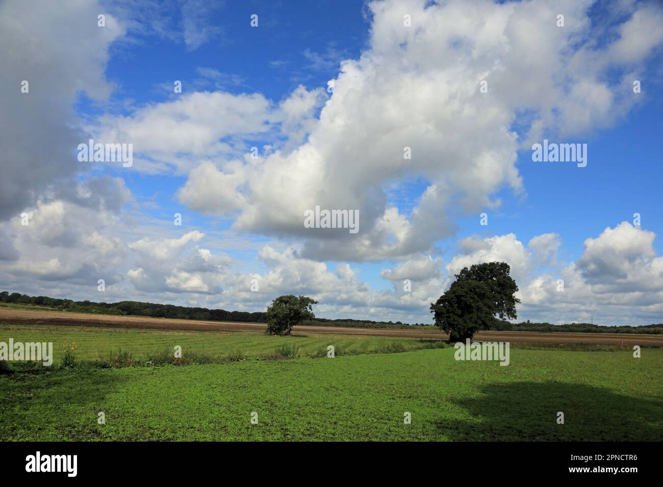Drainage ditch trees and fields viewed from the banks of the River ...