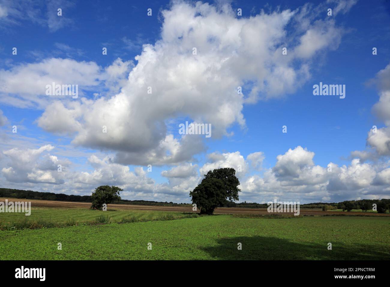 Drainage ditch trees and fields viewed from the banks of the River ...