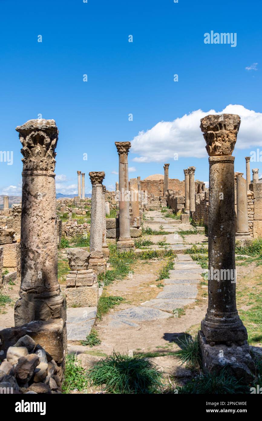 View of Roman columns in the ancient city of Cuicul-Djemila. UNESCO ...