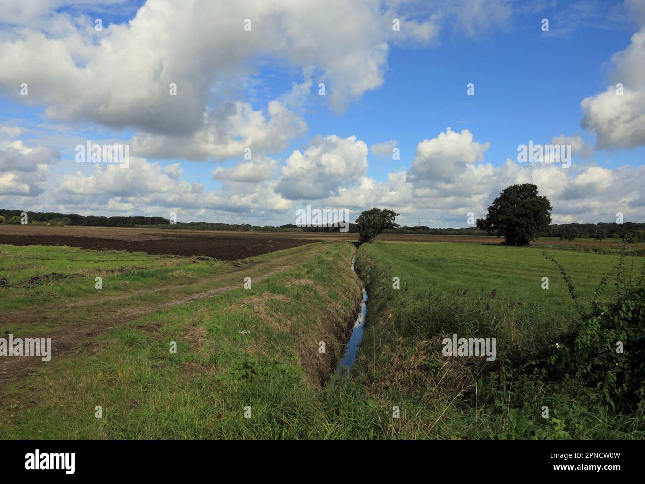 Drainage ditch trees and fields viewed from the banks of the River Douglas at Rufford Lancashire ...