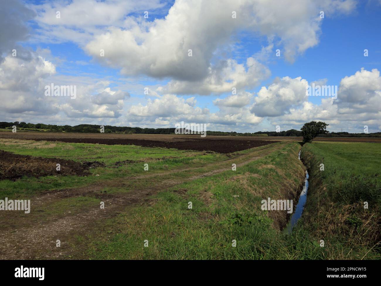 Drainage ditch trees and fields viewed from the banks of the River ...