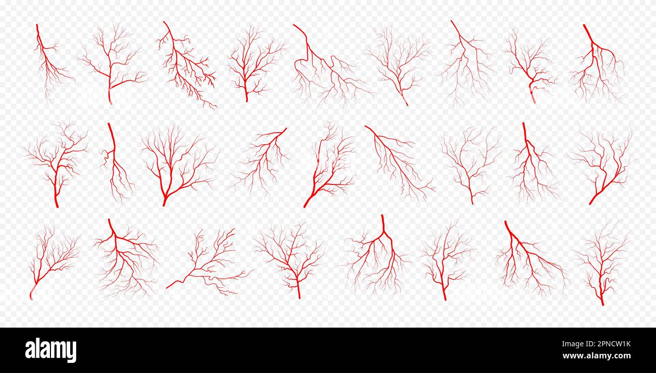 Human eye blood veins vessels silhouettes vector illustration set ...