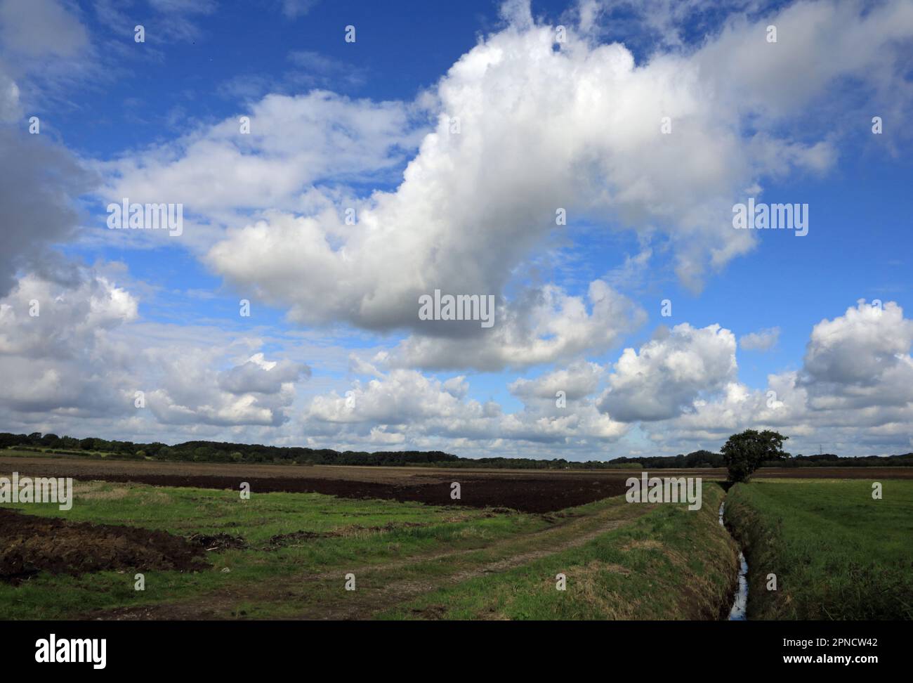 Drainage ditch trees and fields viewed from the banks of the River ...
