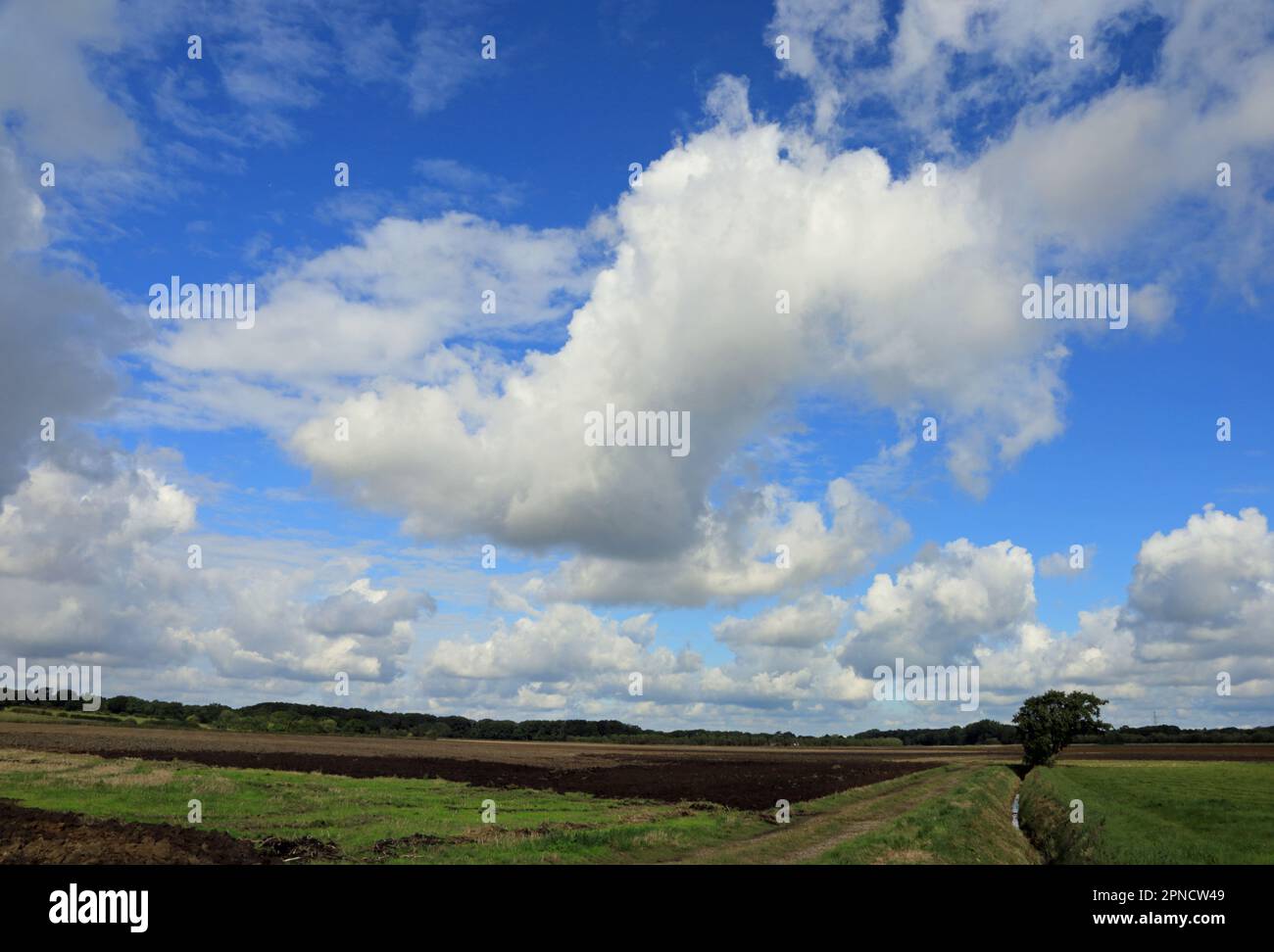 Drainage ditch trees and fields viewed from the banks of the River ...