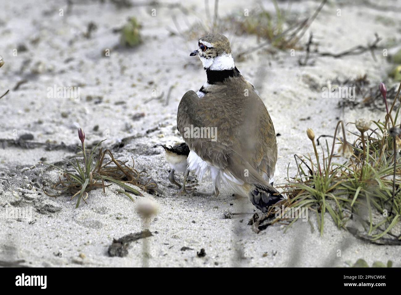 Unning hi-res stock photography and images - Alamy