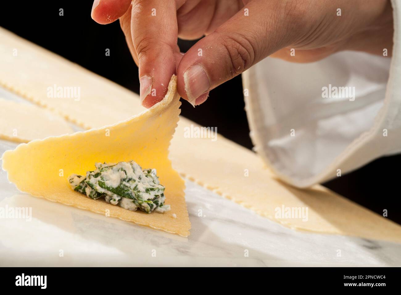 Working with fresh handmade pasta Pansoti, typical of Liguria. Italy ...