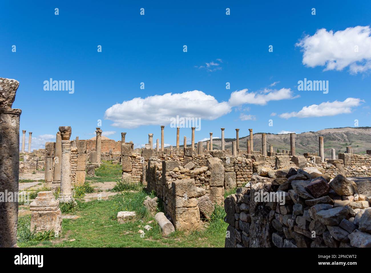 View of Roman columns in the ancient city of Cuicul-Djemila. UNESCO ...