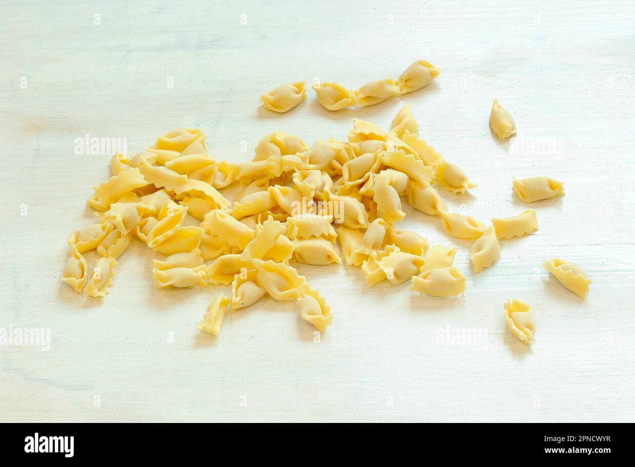 Ravioli stuffed with meat and grana cheese, traditional handmade ...