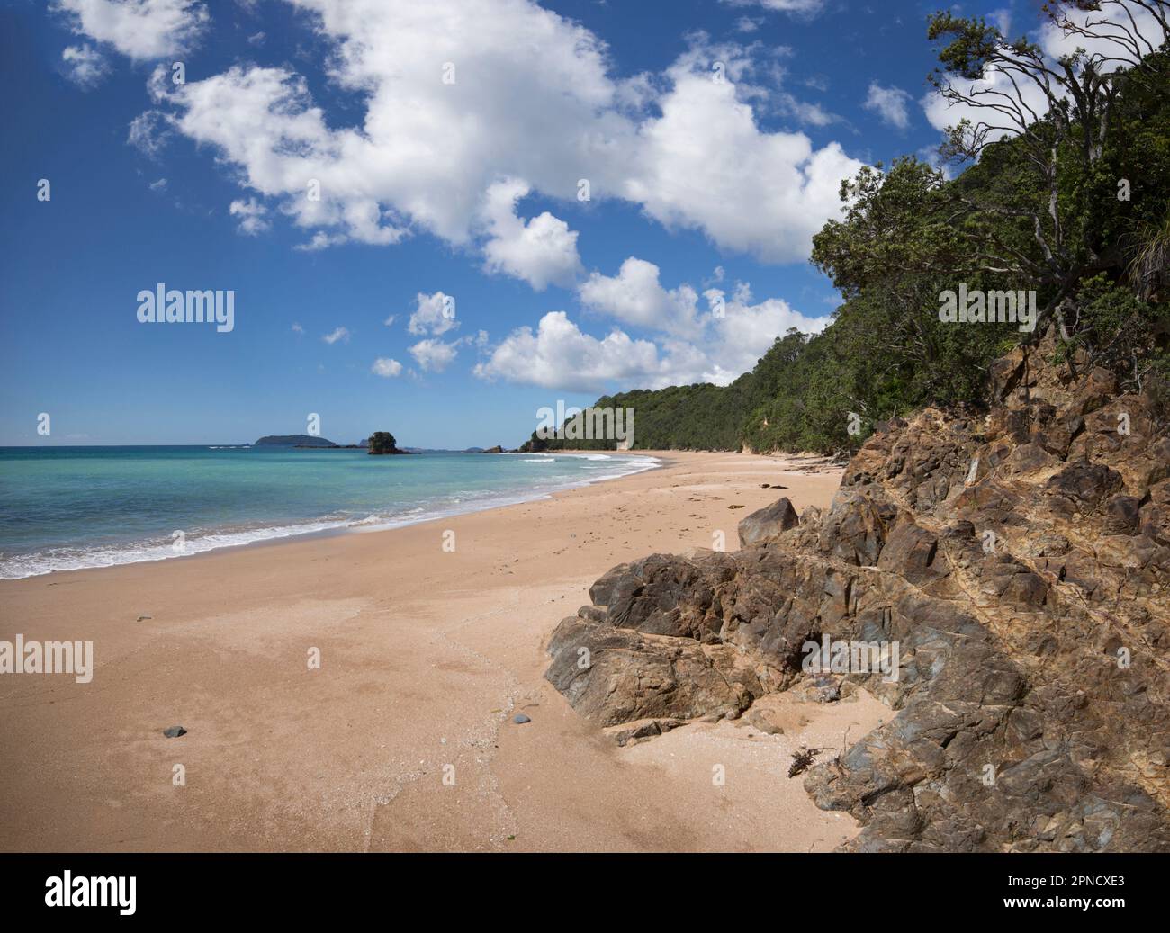 Coromandel Peninsula, north island, New Zealand Stock Photo - Alamy