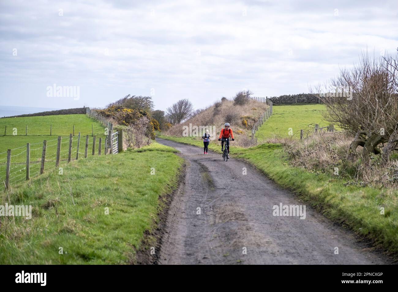 The Cinder Track - Scarborough to Whitby (21 miles Stock Photo - Alamy