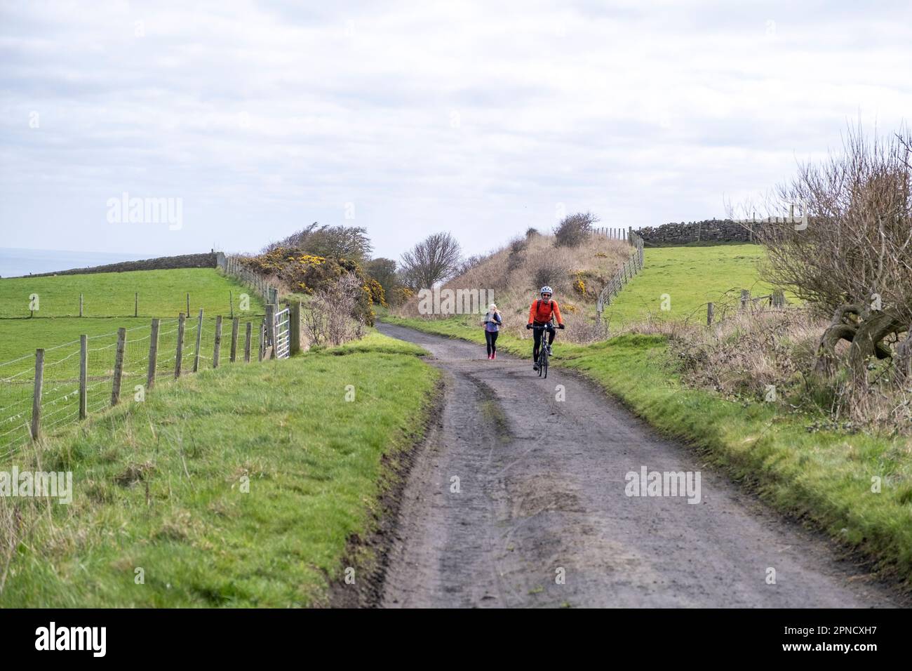 The Cinder Track - Scarborough to Whitby (21 miles Stock Photo - Alamy