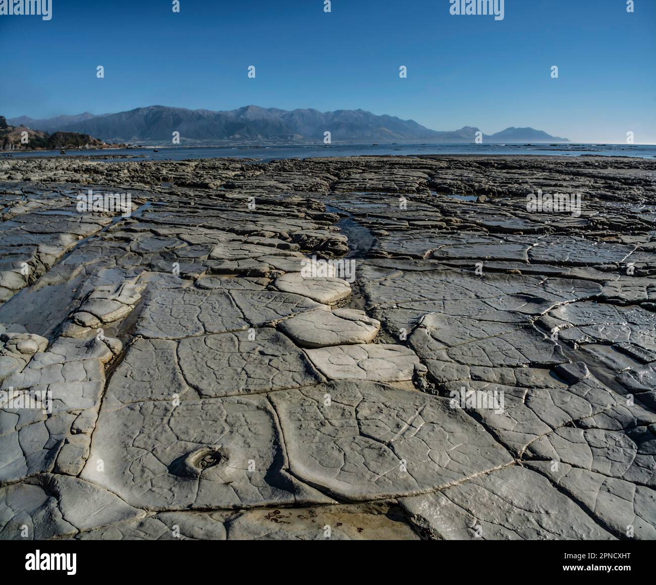 Fossilised mudflats hi-res stock photography and images - Alamy