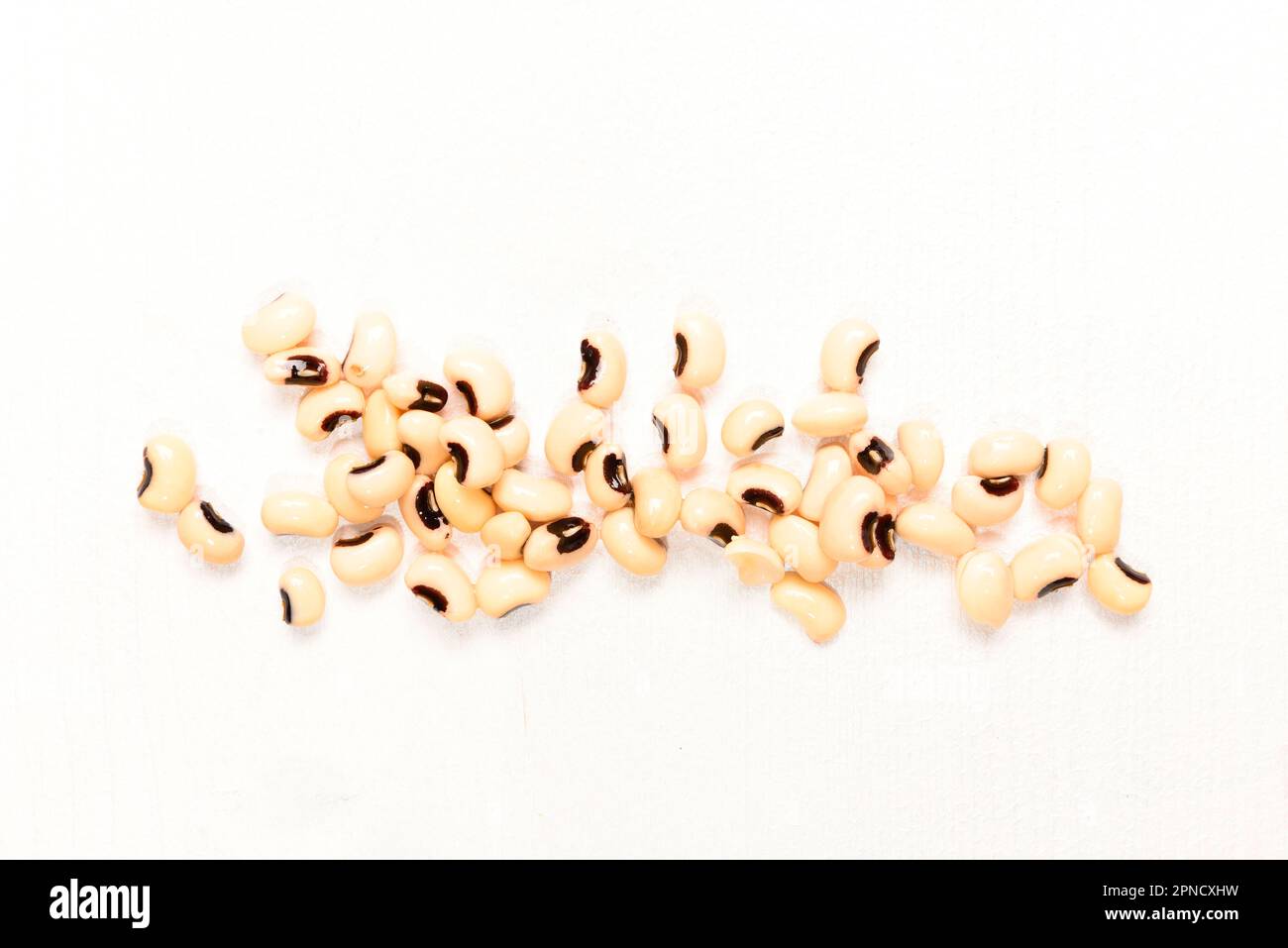 The cowpea is the only native bean of the Old World, in fact it is ...
