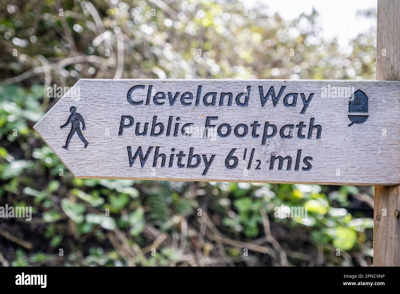 The Cinder Track - Scarborough to Whitby (21 miles Stock Photo - Alamy