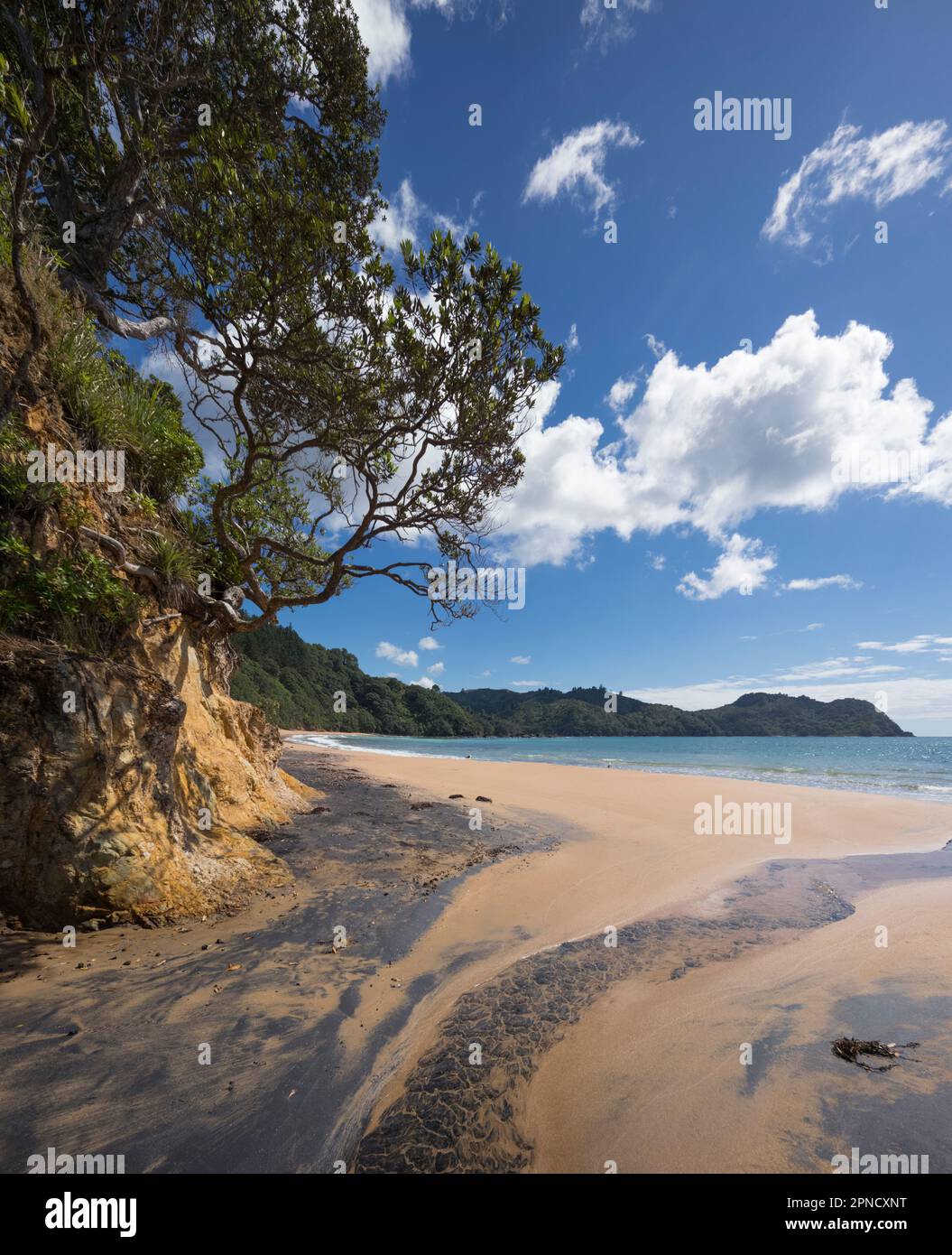 Hahei Beach, Coromandel Peninsula, north island, New Zealand Stock ...