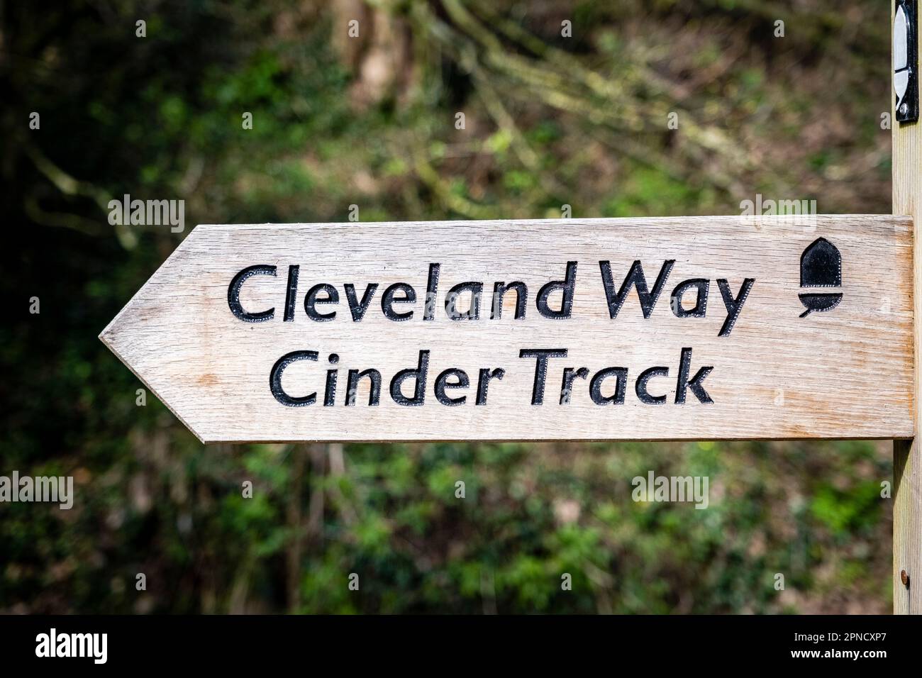 The Cinder Track - Scarborough to Whitby (21 miles Stock Photo - Alamy