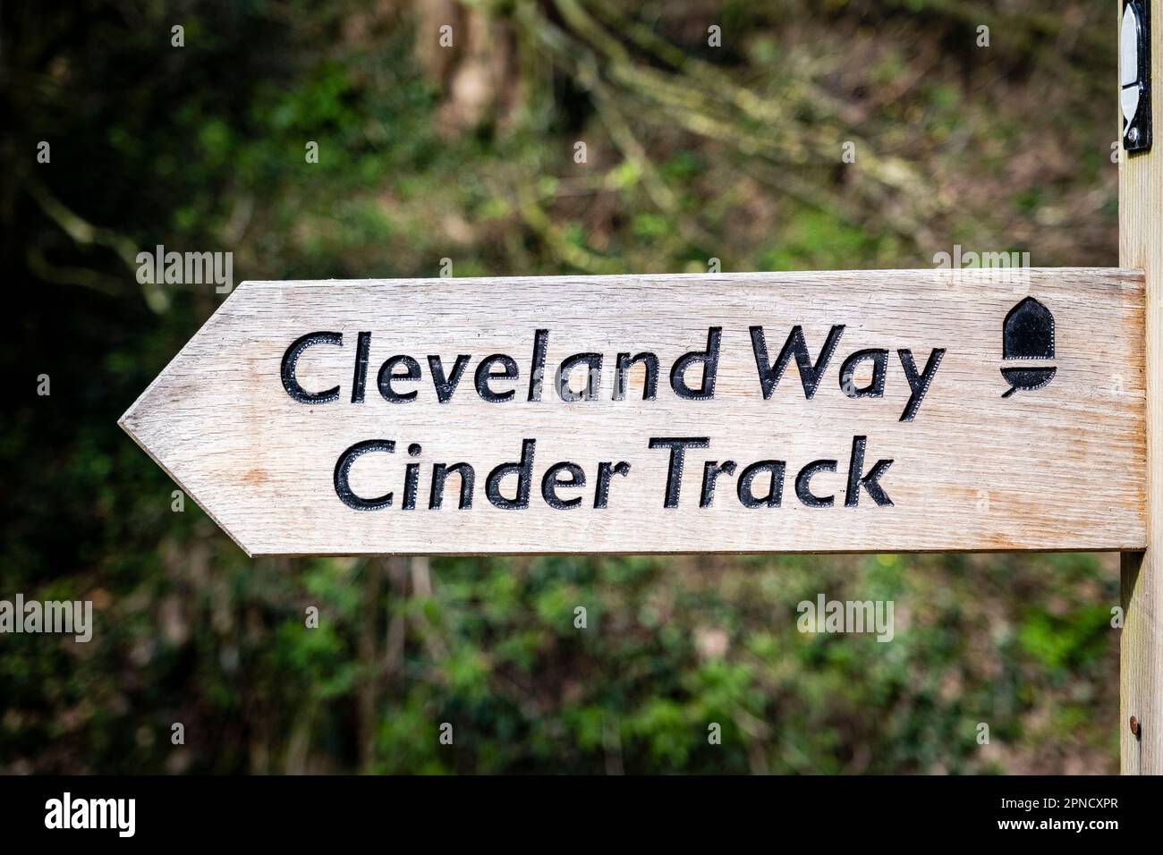 Cinder track bike hi-res stock photography and images - Alamy