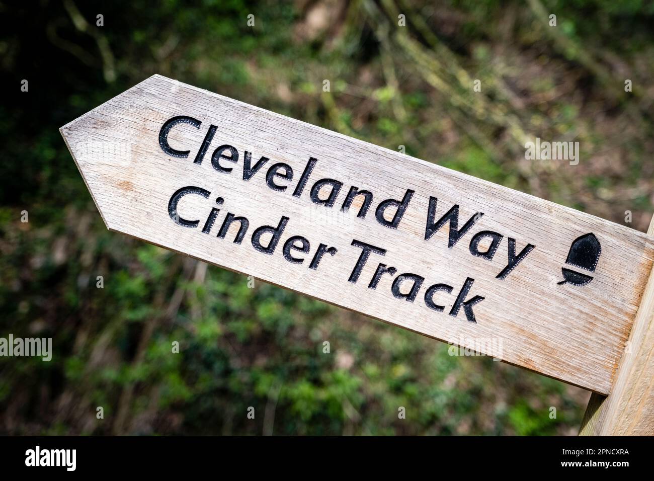 The Cinder Track - Scarborough to Whitby (21 miles Stock Photo - Alamy