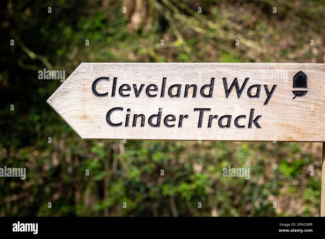 The Cinder Track - Scarborough to Whitby (21 miles Stock Photo - Alamy