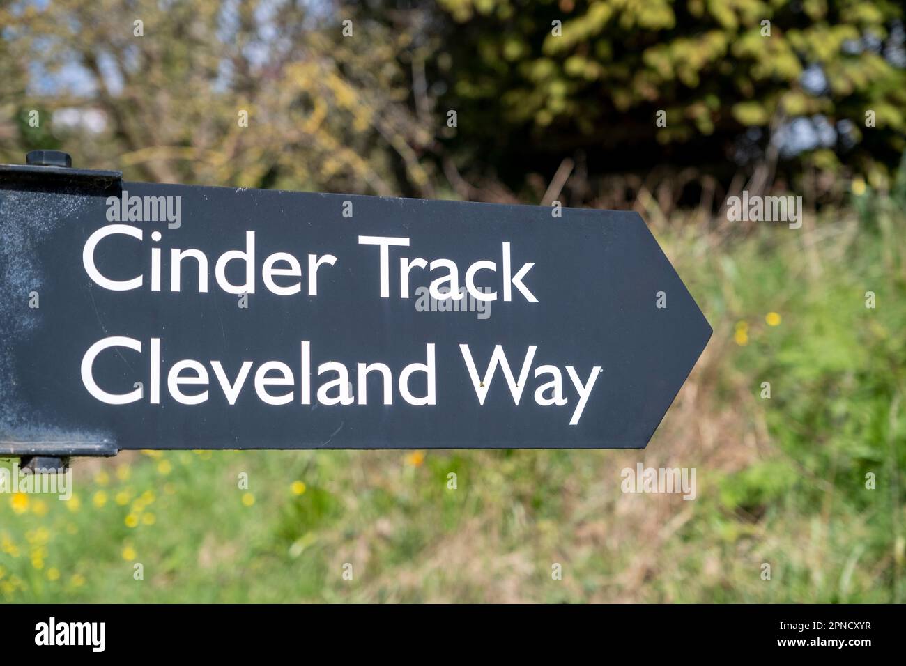 The Cinder Track - Scarborough to Whitby (21 miles Stock Photo - Alamy