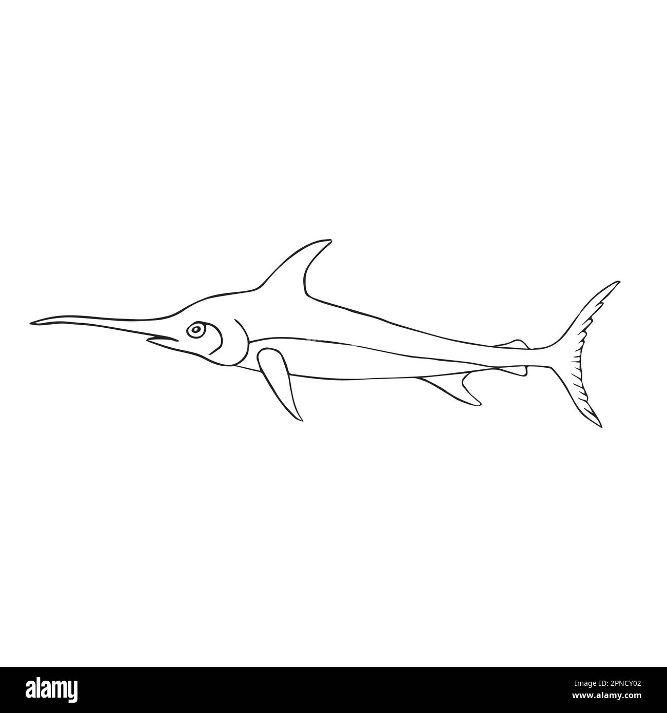 Vector hand drawn doodle sketch swordfish isolated on white background ...