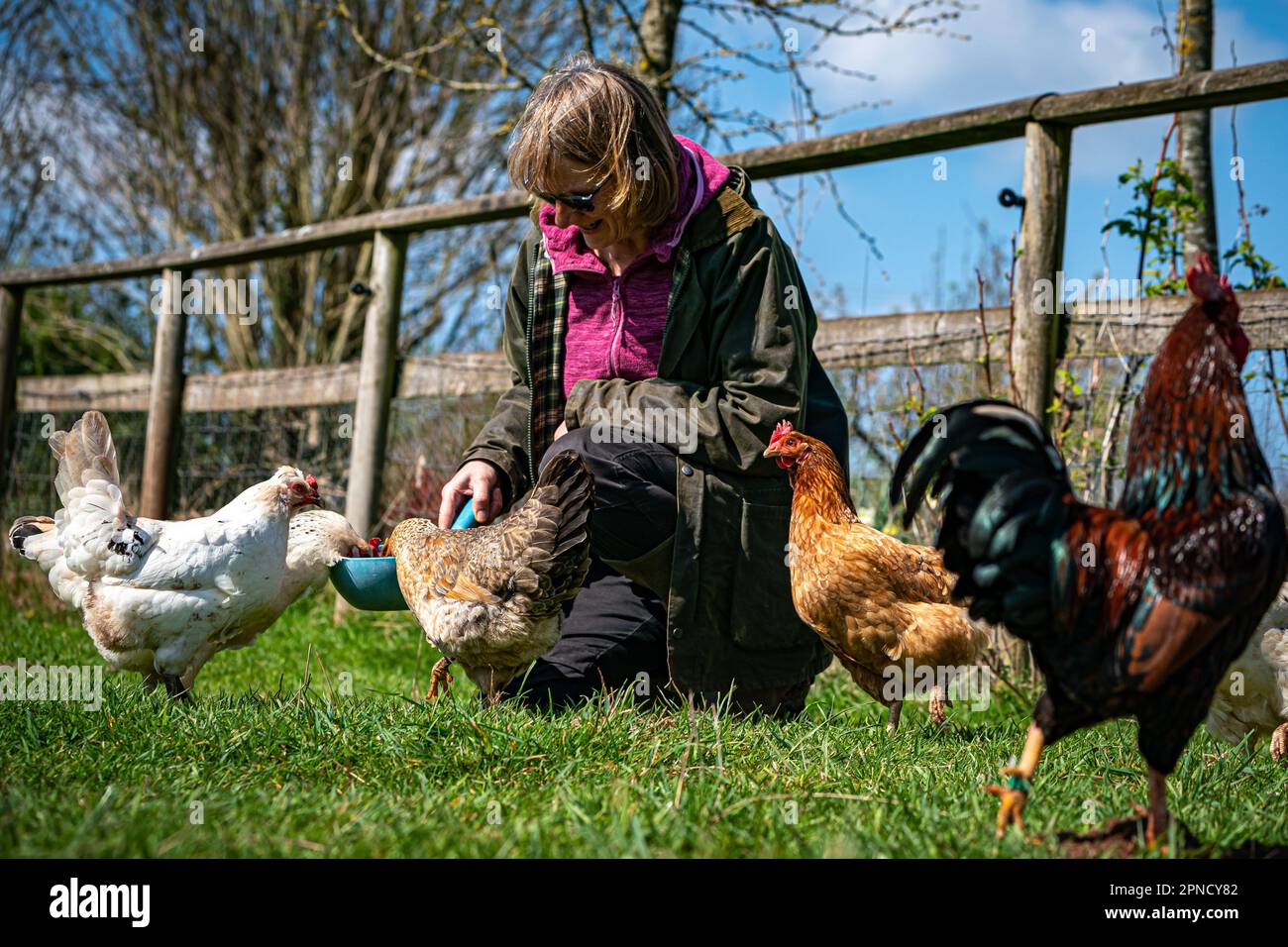 Captive birds hi-res stock photography and images - Alamy
