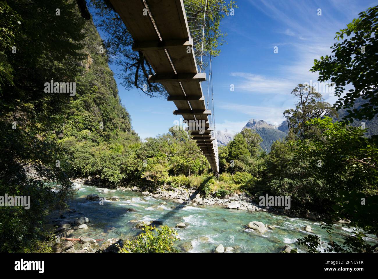 Suspension bridge Milford track, Fiordland, south island, New Zealand ...