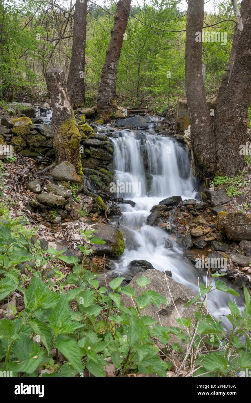 Spring view of Waterfall at Crazy Mary River, Belasitsa Mountain ...