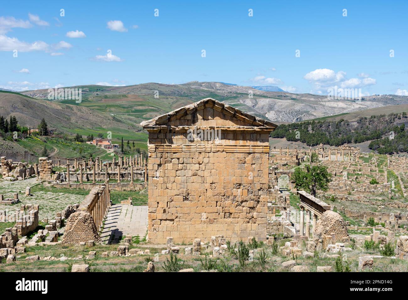 View of (Temple of Gens Septimia) in the ancient city of Cuicul-Djemila ...
