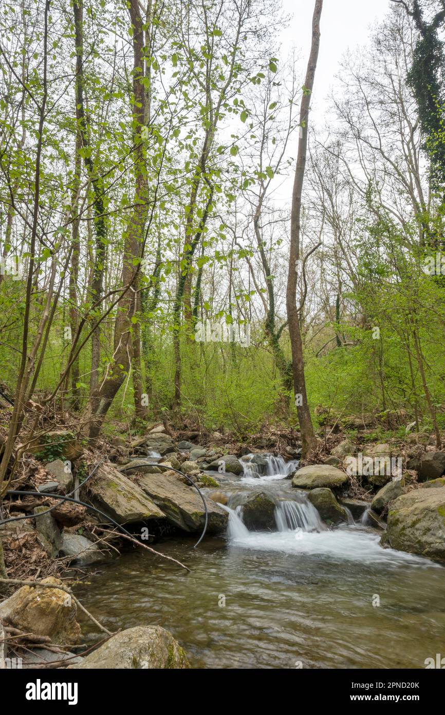 Spring view of Waterfall at Crazy Mary River, Belasitsa Mountain ...
