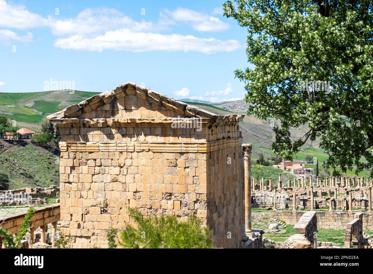 View of (Temple of Gens Septimia) in the ancient city of Cuicul-Djemila ...