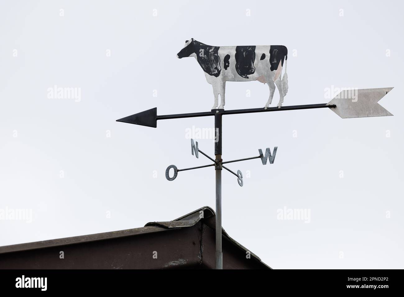 Life size cow model hi-res stock photography and images - Alamy