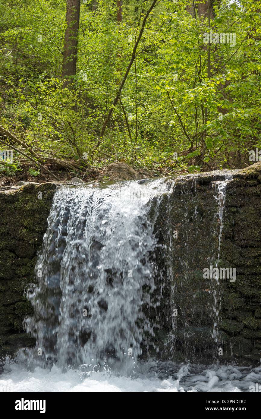 Spring view of Waterfall at Crazy Mary River, Belasitsa Mountain ...